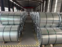China 275G 1.0mm PPGI Steel Coil for sale