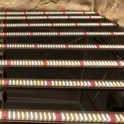 China 1200W Grow Light For Flowering AC100-277V With High Energy Efficiency for sale