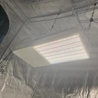 China HPS Replacement Supplemental LED Grow Lights 800W 1200W Customized Spectrum for sale