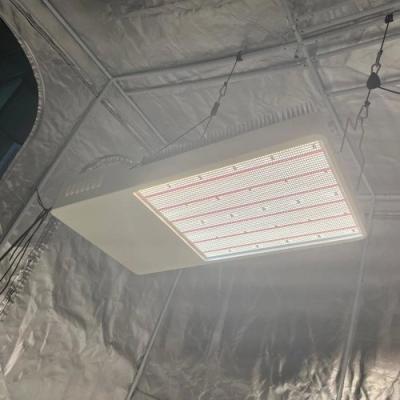 China HPS Replacement Supplemental LED Grow Lights 800W 1200W for plants for sale