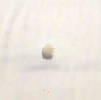 China Small 0.3 Module Plastic Bevel Gears Depon 100P Material smooth Surface for sale