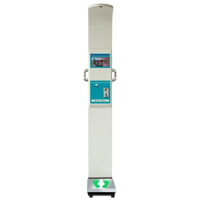 China Coins Balance Gym Height and Weight Weighing Scale Full Body Composition Scale for sale