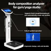 China Gym Use Full Body Analyzer Body Scanner Analyzer Scanner Machine Human Composition Measurement Fat Analyse for sale