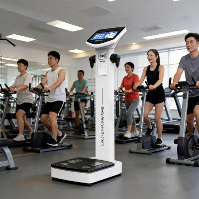 China Gym Use Full Body Analyzer Body Scanner Analyzer Scanner Machine Human Composition Measurement Fat Analyse for sale