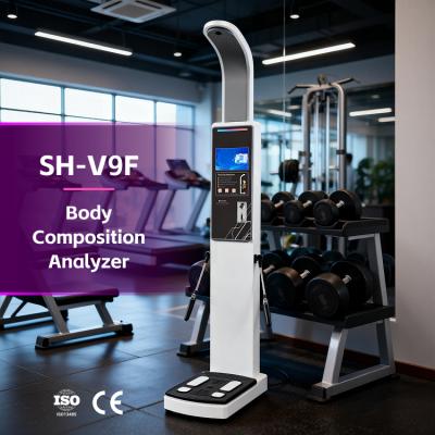 China Fitness Center Use Body Composition Analysis Fat Scanner for BMI Body Fat and Muscle Scan Body Analyzer OEM Body Analyzer for sale