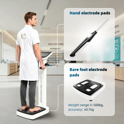 China SH-10F Eight-electrode LCD Touch Screen Body Fat Monitor with Wi-Fi/OEM/ODM for Body Analysis for sale