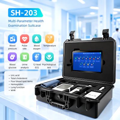 China SH-203 Multifunctional Portable Health Station Community Clinic Portable Kiosk Medical Equipment with 11 Inch LCD Screen for sale