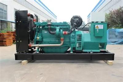 China Electric Start Water Cooled Diesel Generator Set with Brushless Alternator for Commercial Power for sale