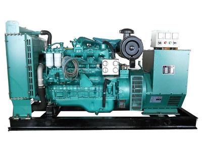 China Heavy Duty Diesel Generator Set 250KVA Power Output Diesel Fuel Type Power Generator for Industrial Needs for sale