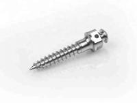 China Stainless Steel Orthodontic Mini Screws With Multifunctional Head Designs for sale