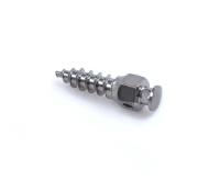 China Titanium Alloy Dental Orthodontic Mini Screws 1.6x6 1.6x8 1.6x10 1.6x12 Size for sale