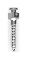 China Titanium Alloy Dental Orthodontic Mini Screws 1.6x6 1.6x8 1.6x10 1.6x12 Size for sale