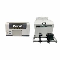 China BSW-302 DTF Garment Printer 30cm with 2 Epson i3200 Print Heads and 8㎡/h Printing Speed for sale