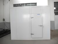 China Energy Saving Cold Room Hinged Door With Customizable Cooling Capacity And Automatic Defrosting for sale