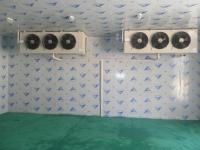 China Container cold store with Customizable Cooling Capacity and Energy Saving Polyurethane Insulation for sale