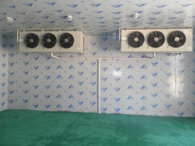 China Container cold store with Customizable Cooling Capacity and Energy Saving Polyurethane Insulation for sale