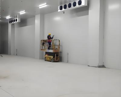 China quick install Industrial Cold Room Food Storage 10m3-100m3 Capacity for sale