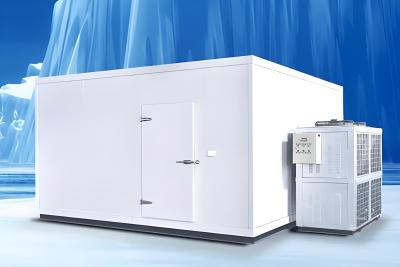 China Insulation Cold Room with 0.5mm Steel Plate Capacity 10m3 to 100m3 Polyurethane Core for sale