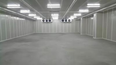 China PUR / PIR Core Industrial Cold Room Energy Saving Small Cold Storage Room for sale