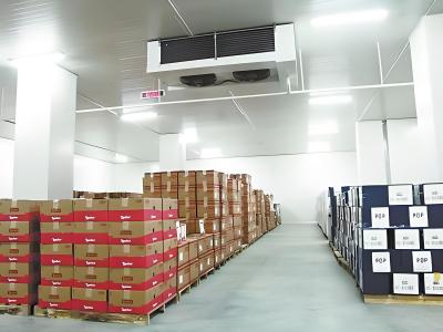 China Versatile Industrial Cold Room Cold Storage Container Refrigeration Equipment for sale