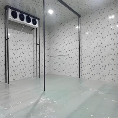 China Steel Plate 0.5mm PUR Door Cold Room with Customizable Cooling Capacity for sale