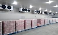 China Water cooled Cooler room With Digital Temperature Controller for sale