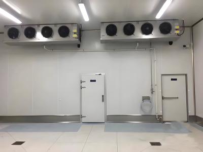 China Temperature Controlled Freezer Room with Sliding Door Polyurethane Insulation and Digital Controller for sale