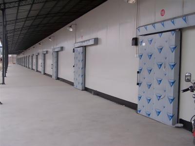 China Capacity Color Steel cold room with LED Light Temperature Range -18.C To -25.C for sale