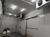 China Commercial Freezer Cold Room Stainless Steel / Color Steel Freezer Storage Room for sale