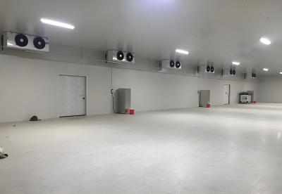 China LED Light Chill Cold Room Optimal Cooling With Copeland Compressor for sale