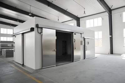China 10m3 To 1000m3 Capacity Freeze-chamber with Durable Stainless Steel Panel Material for sale
