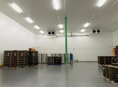 China Customized Fruit Cold Storage Room Manufacturers With 50mm-250mm Core for sale
