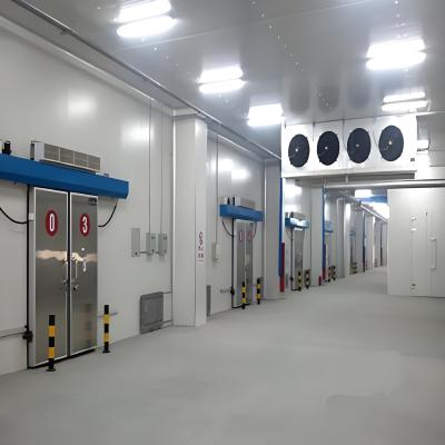 China Automatic 10m3 To 100m3 Polyurethane Cold Room Container with Hinged or Sliding Doors for sale