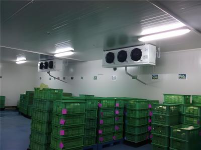 China Polyurethane Foam Insulation Freezer Room And Cold Room For Pharmaceutical Products for sale