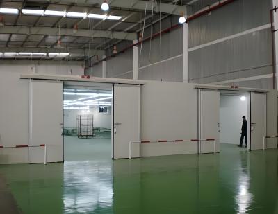 China Commercial Freezer Room 220V 380V Cooling Freeze Chamber With Stainless Steel Panel for sale