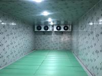 China Easy Install Industrial Freezer Cold Room For Precise Temperature / Humidity Control for sale