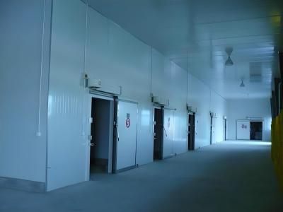 China PUR / PIR Cold Storage Room 10m3 - 100m3 Capacity Steel Plate 0.5mm/0.6mm Doors for sale