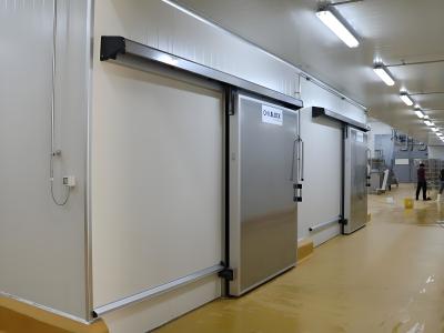 China Custom Industrial Cold Room Cold Storage With Polyurethane Insulation Steel Plate 0.5mm/0.6mm for sale