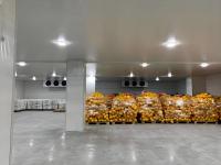 China Bitzer Stainless Steel Cold Storage Freezer With Direct Expansion System for sale