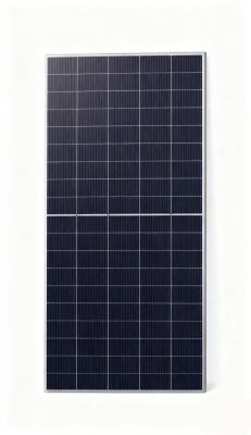 China 710W Bifacial Dual Glass Solar Panel, Monocrystalline 132 Cells, 22.86% Efficiency, IP68 Rated for sale