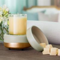 China Fashionable 2 In 1 Electric Candle Warmer Family Wax Burner As Gift Or Decor for sale