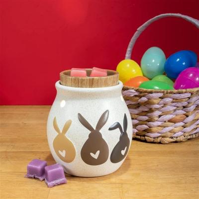 China Innovative Electric Wax Warmer Long Lasting  Corrosion Resistant for sale