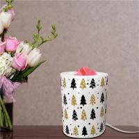 China Portable White Electric Wax Warmer Heat Resistant Compact Size for sale