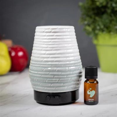 China 100ml Room Scent Diffuser Electric Aroma Oil Diffuser 120V / 220-240V for sale