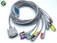China Compatiable Nihon Konden  EKG Cable 10leads Clip  IEC for sale