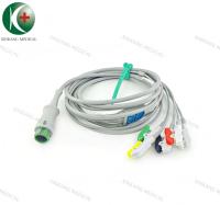 China Compatible Mindray T5 12 Pin  ECG Cable 5 Leads Clip Type IEC for sale