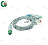 China Compatible Biolight A、Q Series 12 Pin  ECG Cable 5 Leads Clip Type IEC for sale