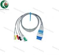 China Compatible Siemens Drager 5 Leads ECG Leadwire Clip Type IEC-DG for sale