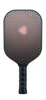 China Aramid Fiber Portable Pickleball Net OEM Pickleball Paddles And Net for sale