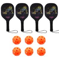 China 22FT Heavy Duty Outdoor Pickleball Net Indoor Exercise Pickleball Paddle Set for sale